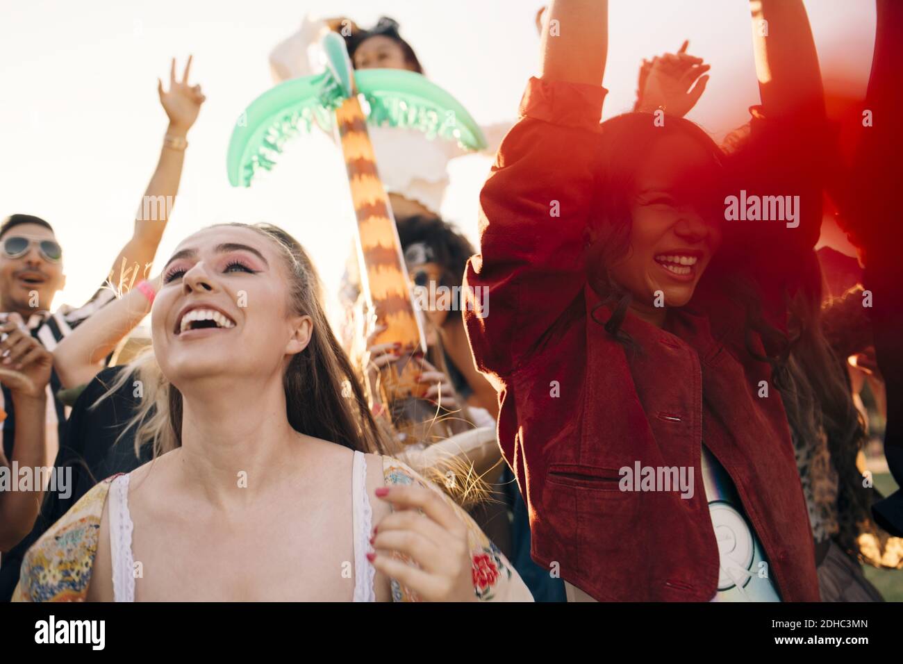 Cheerful audience enjoying at music concert in summer Stock Photo - Alamy
