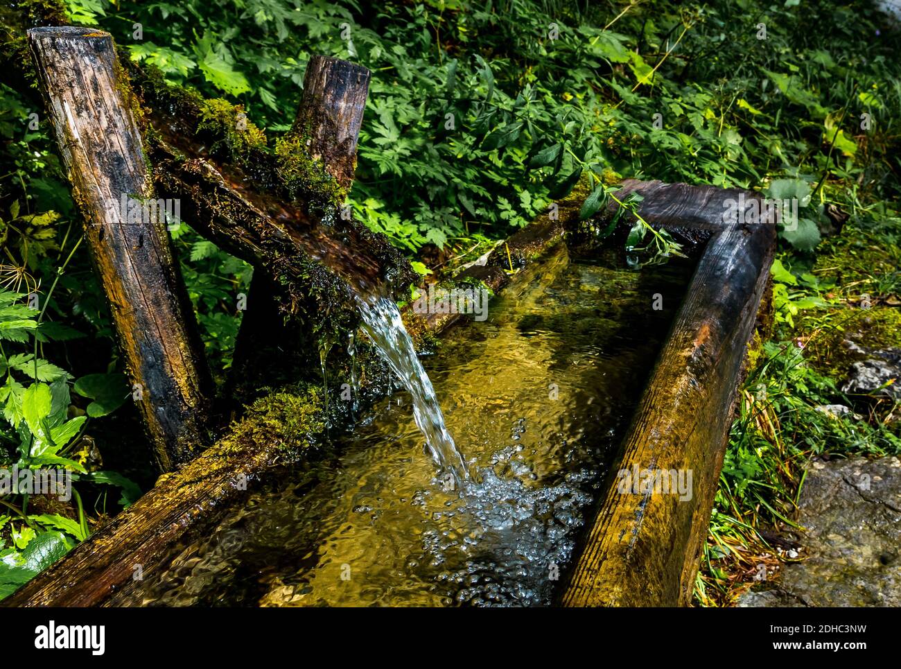 Old Mossy Spring And Fountain With Clear And Cold Mountain Water ...
