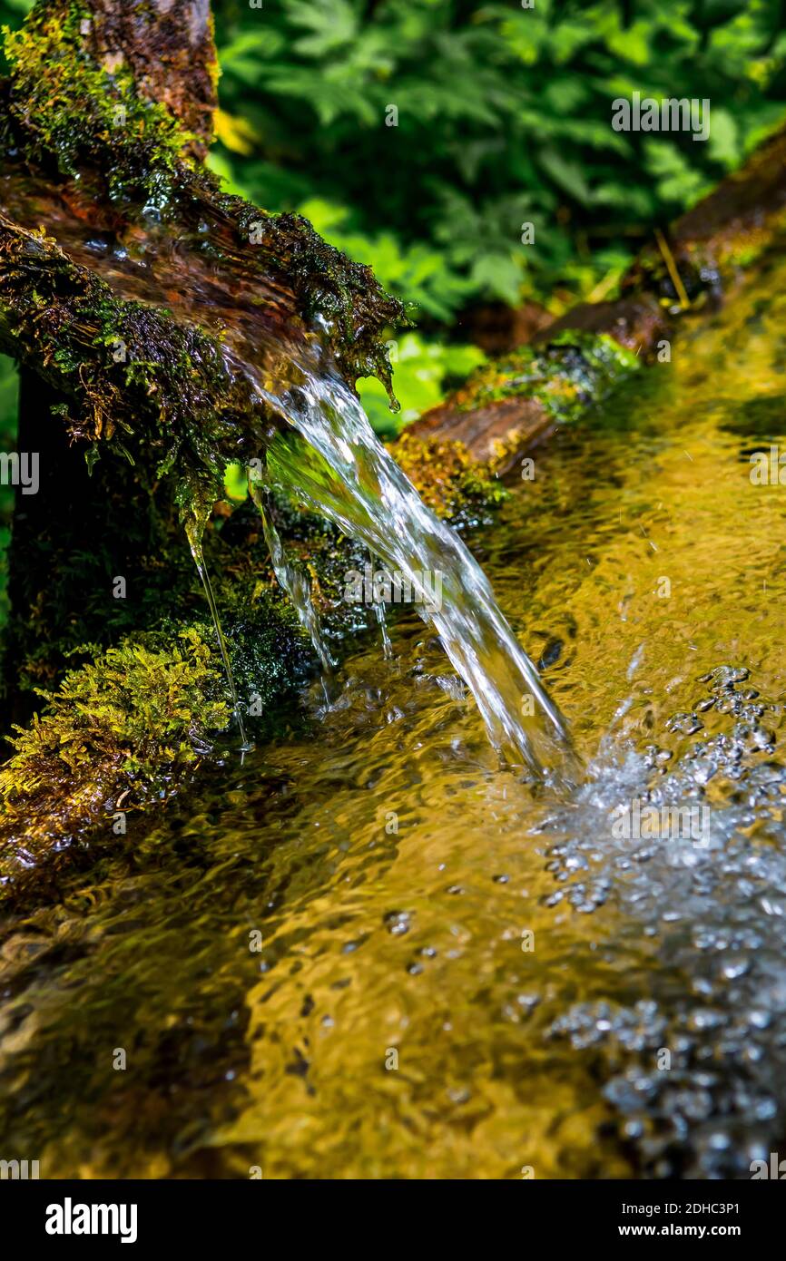 Old Mossy Spring And Fountain With Clear And Cold Mountain Water ...