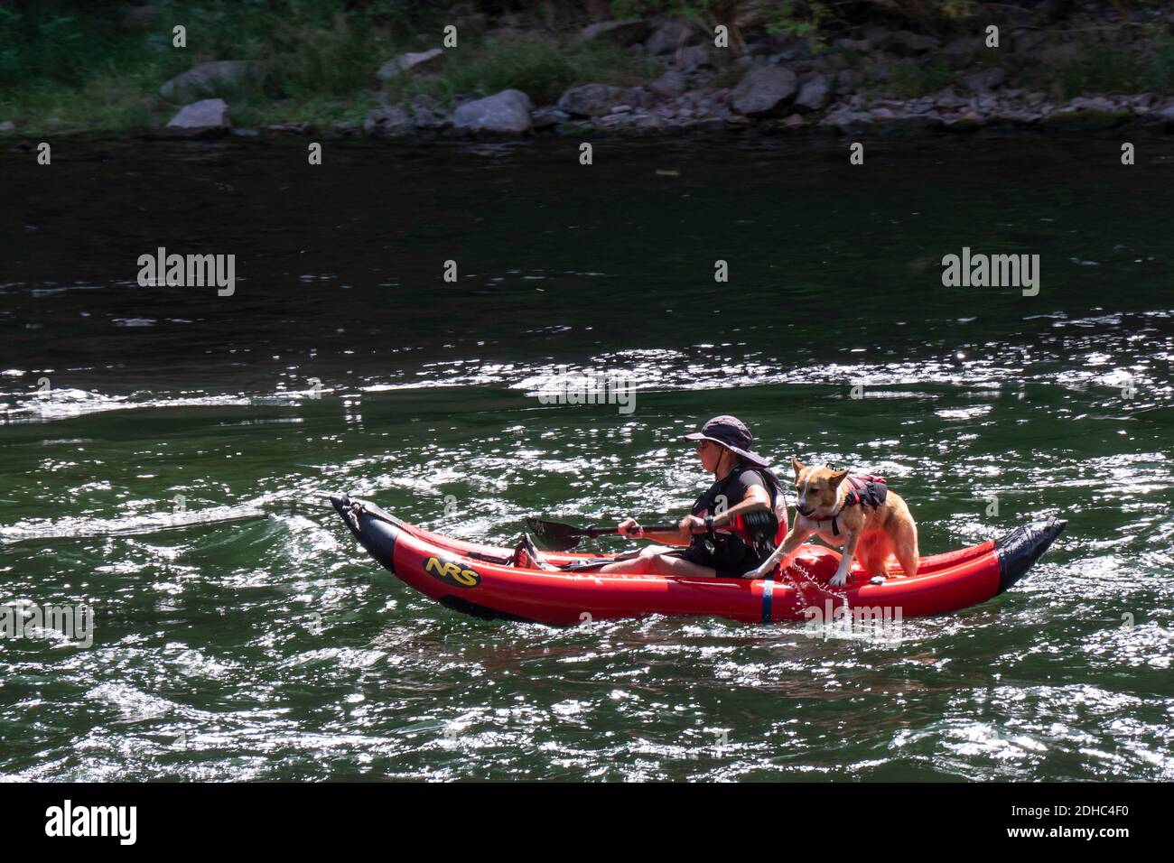 Kayaker with her dog, Green River, Little Hole Trail, Ashley National ...
