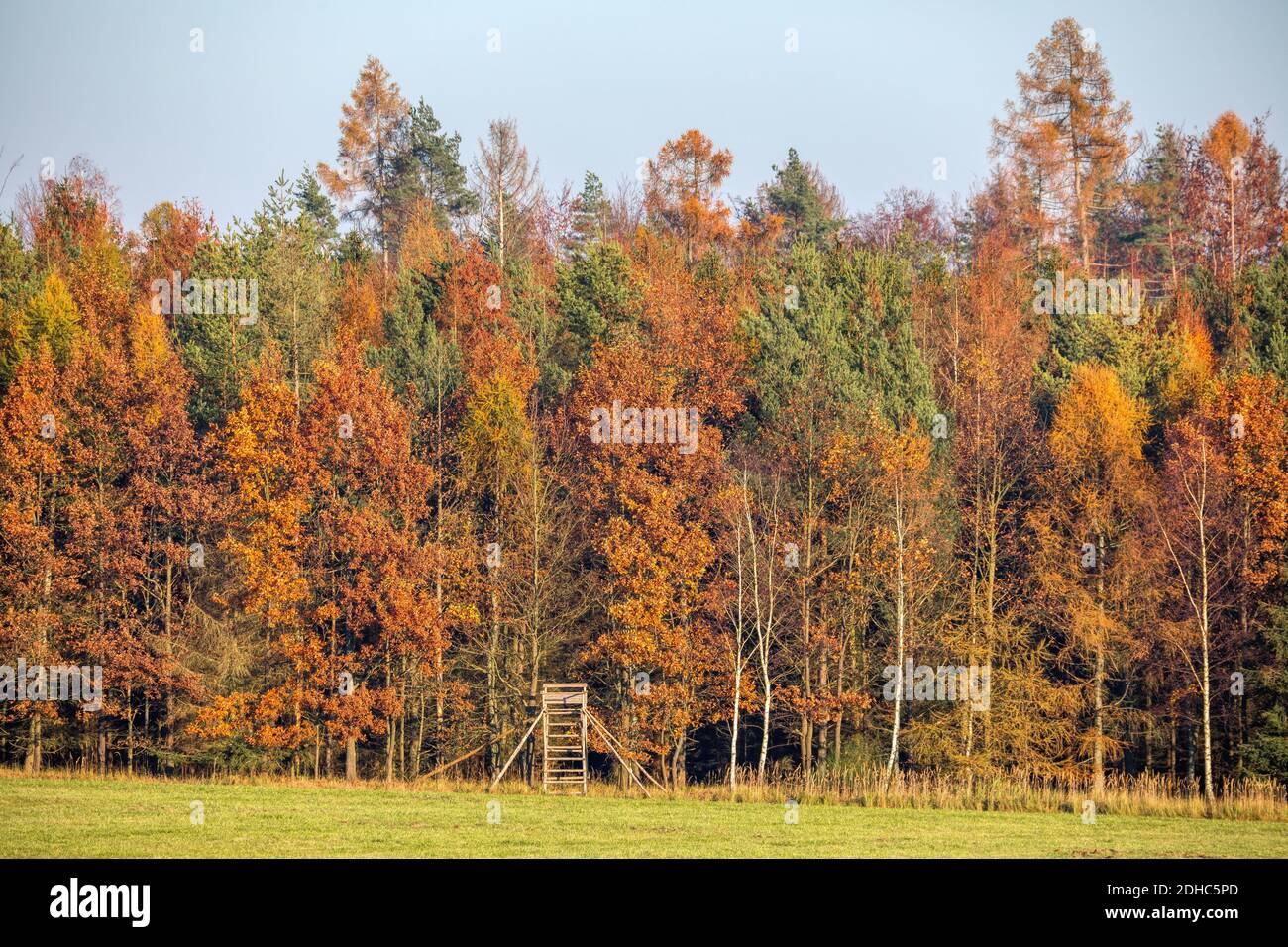 Vivid fall colors hi-res stock photography and images - Alamy