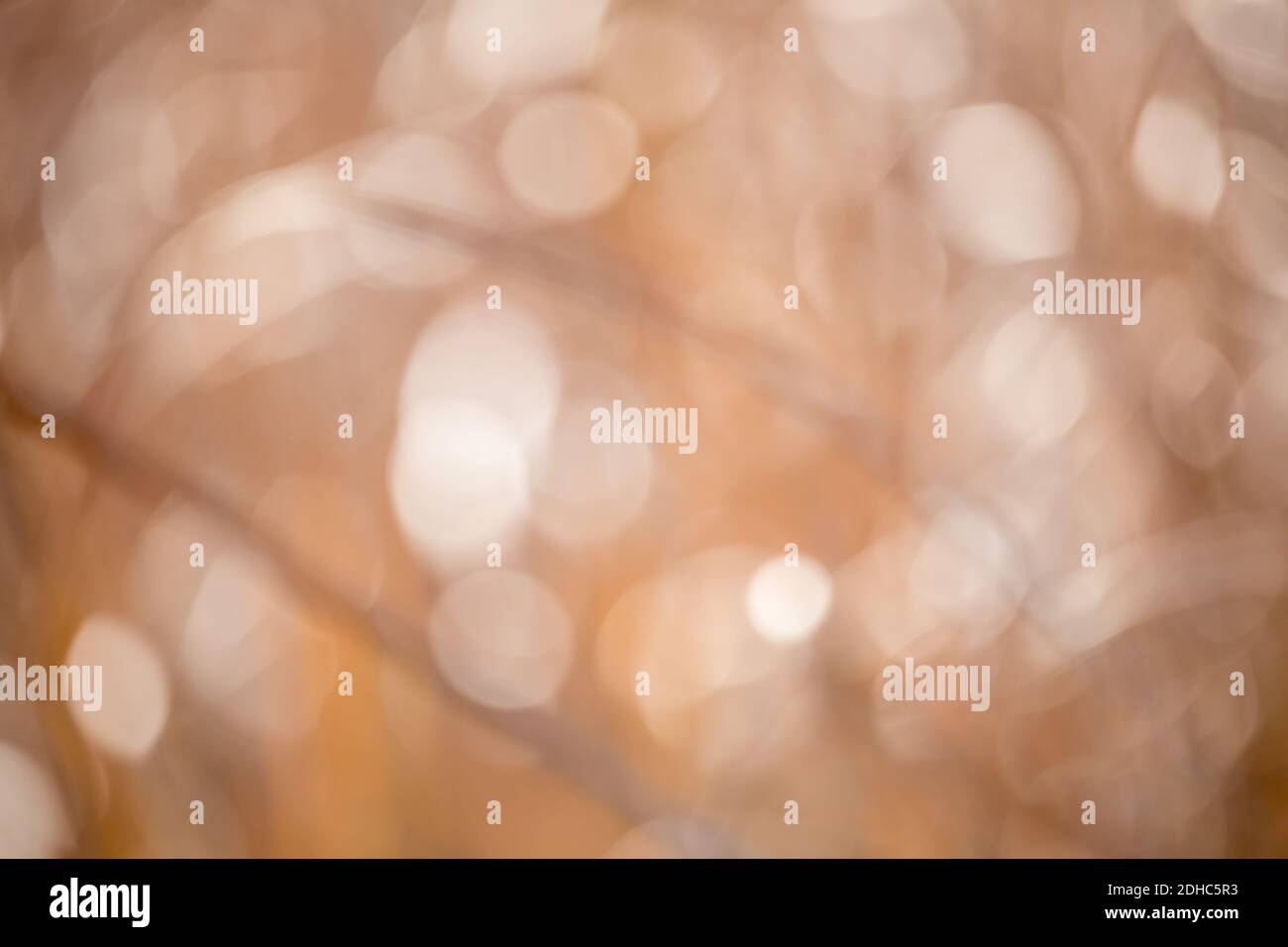 Blurry natural pattern hi-res stock photography and images - Alamy