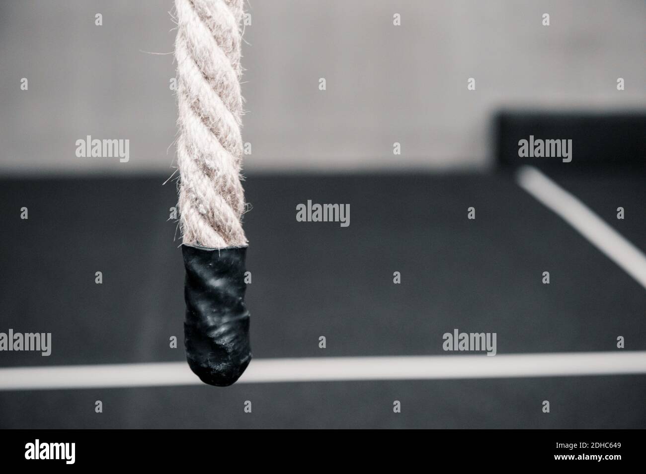 Rope hanging from the ceiling in the gym Stock Photo - Alamy