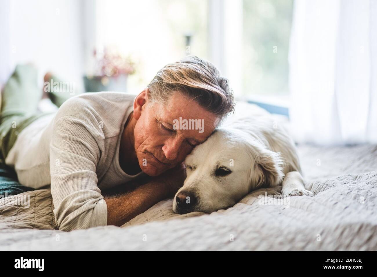 Retired man sleeping with dog comfortably on bed at home Stock Photo ...