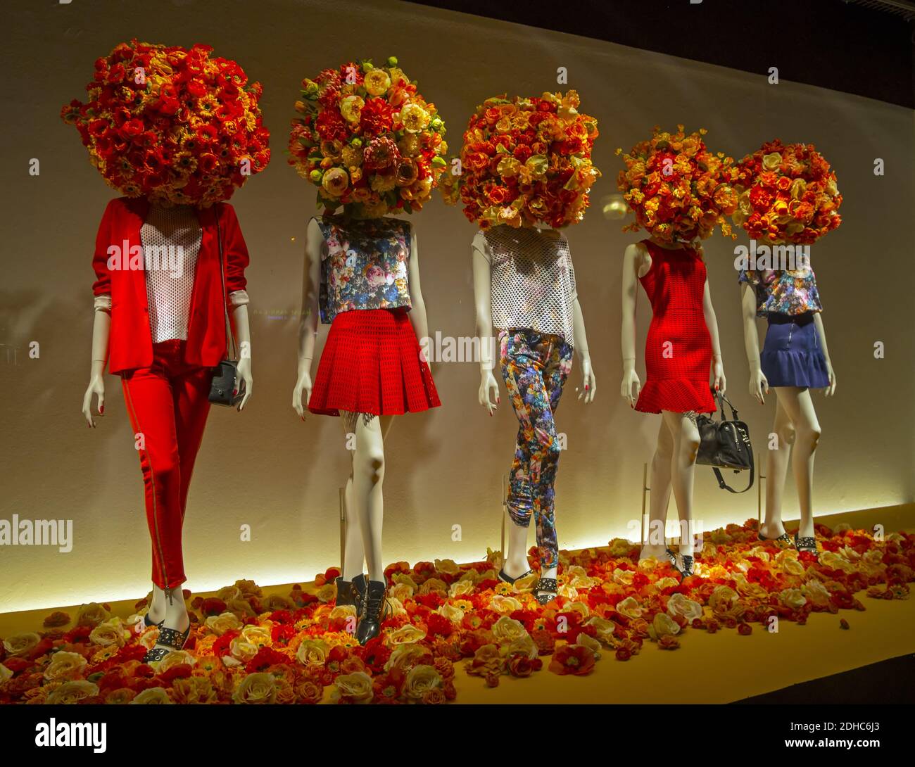 Showcase dummy hi-res stock photography and images - Alamy