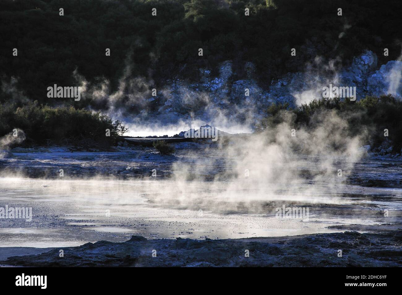 Steaming mud pools, Hell's Gate and WaiOra Spa, Rotorua, Bay of Plenty ...