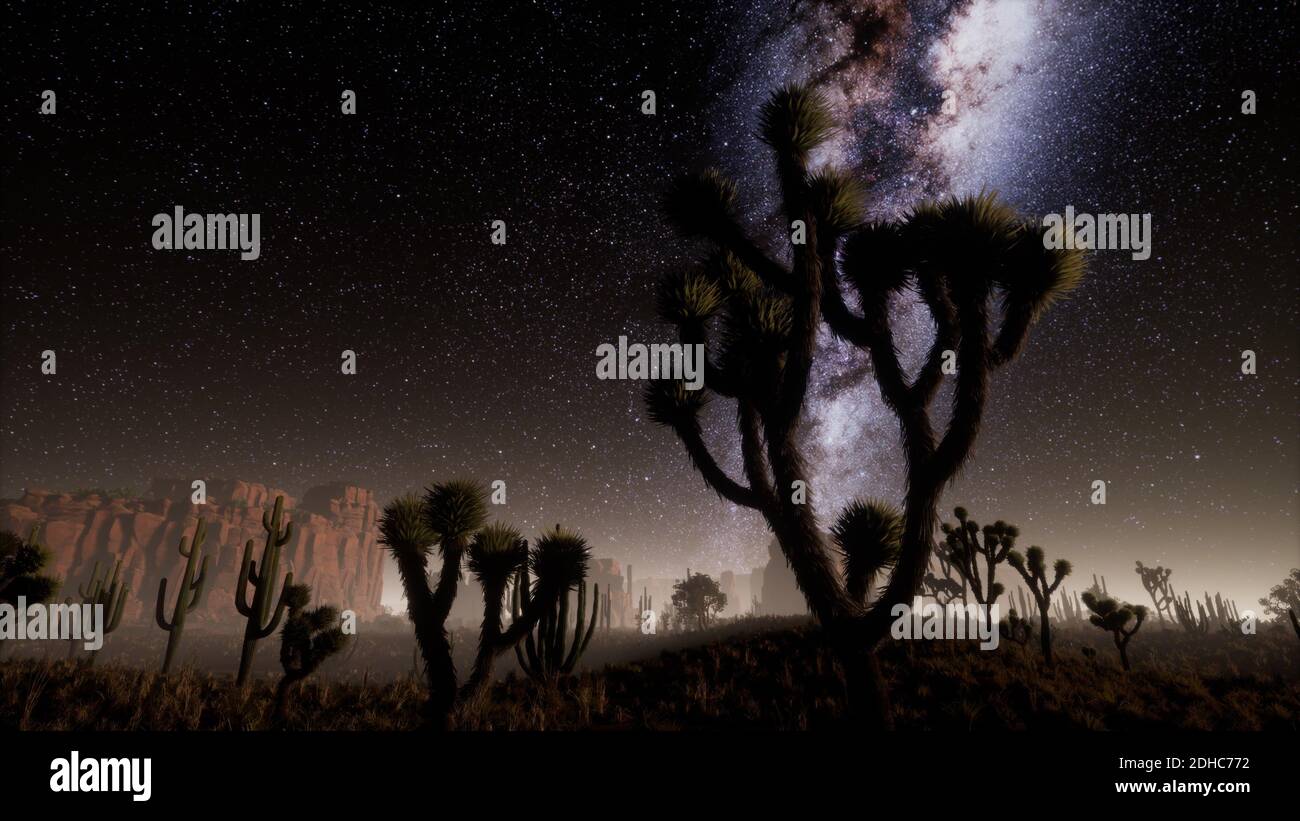 Death valley cactus hi-res stock photography and images - Alamy