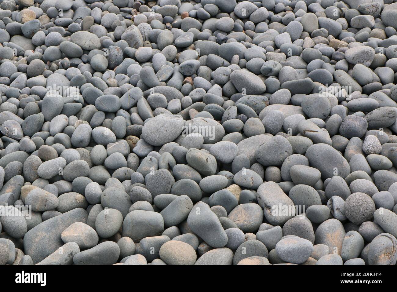 oval round grey stones Stock Photo - Alamy