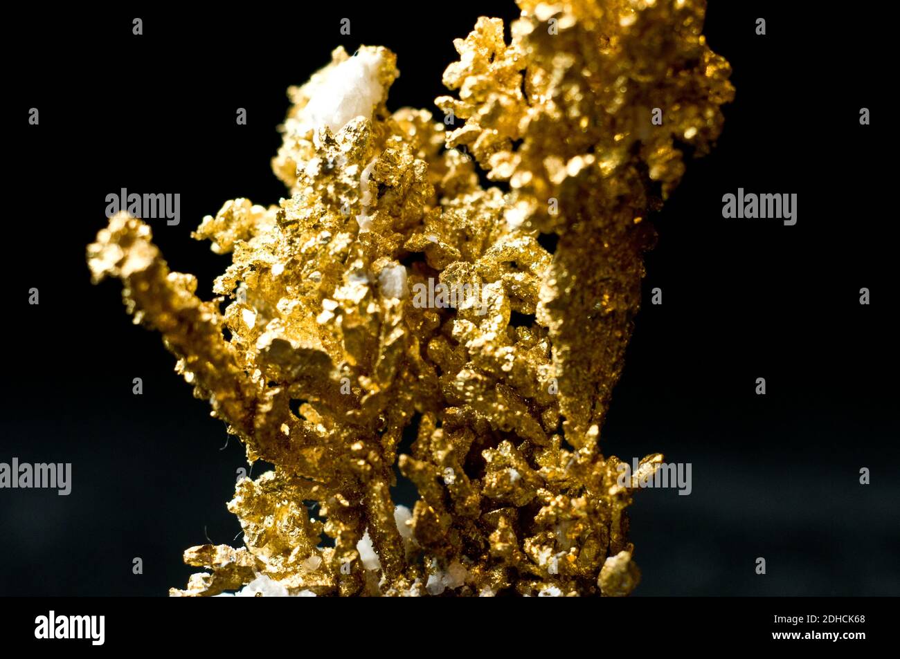 Wire Gold Nugget Collection