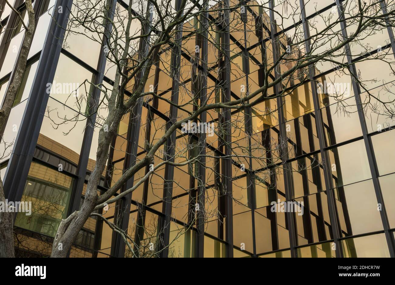 glass windows of a skyscraper Stock Photo - Alamy