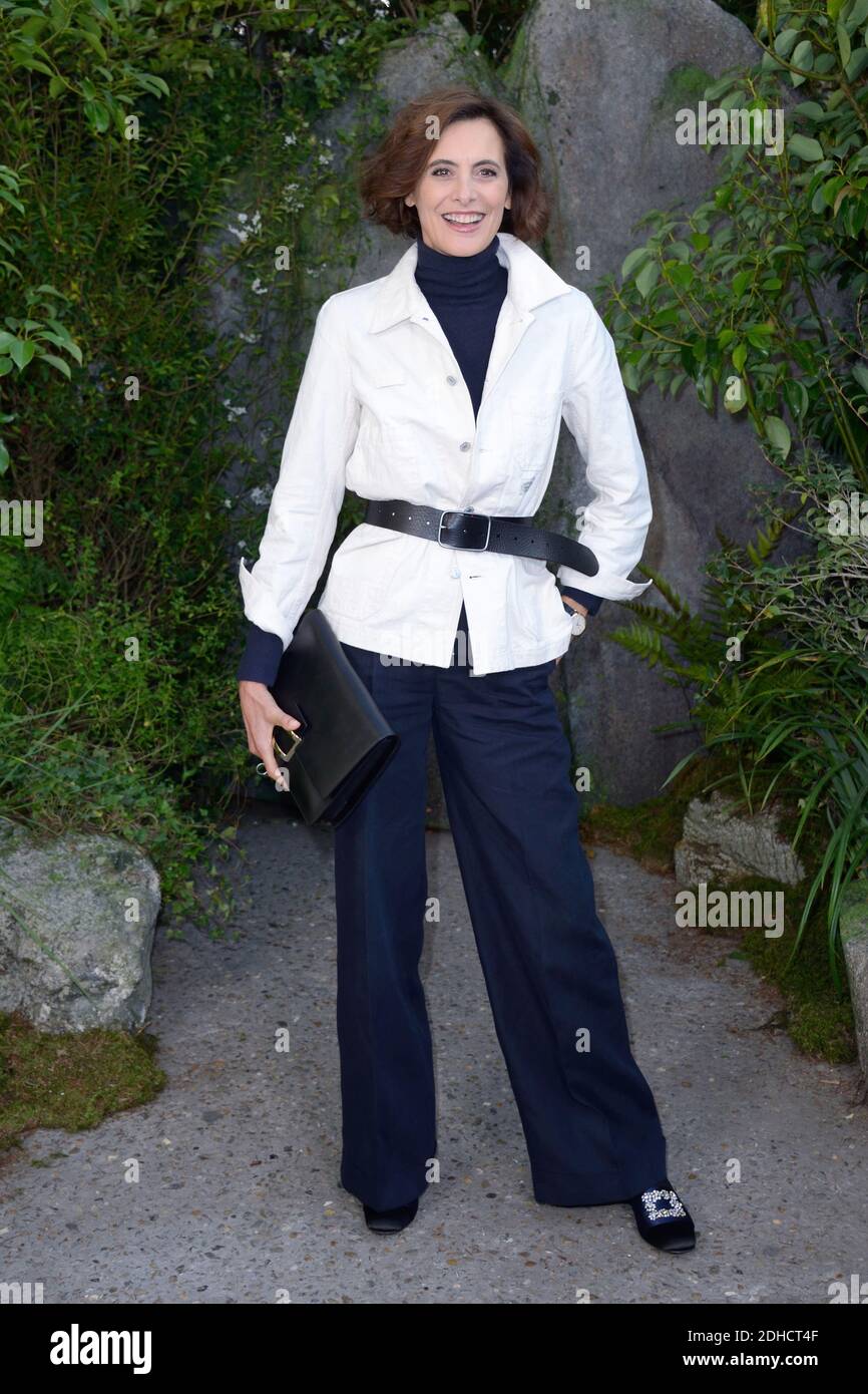 Ines de La Fressange attending the Chanel Fashion Show as part of Paris ...