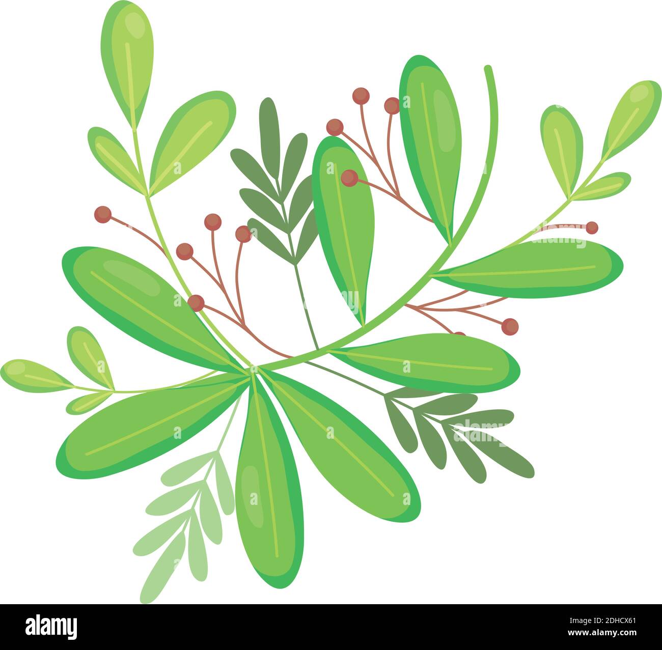 green leaves and berries icon over white background, colorful design ...