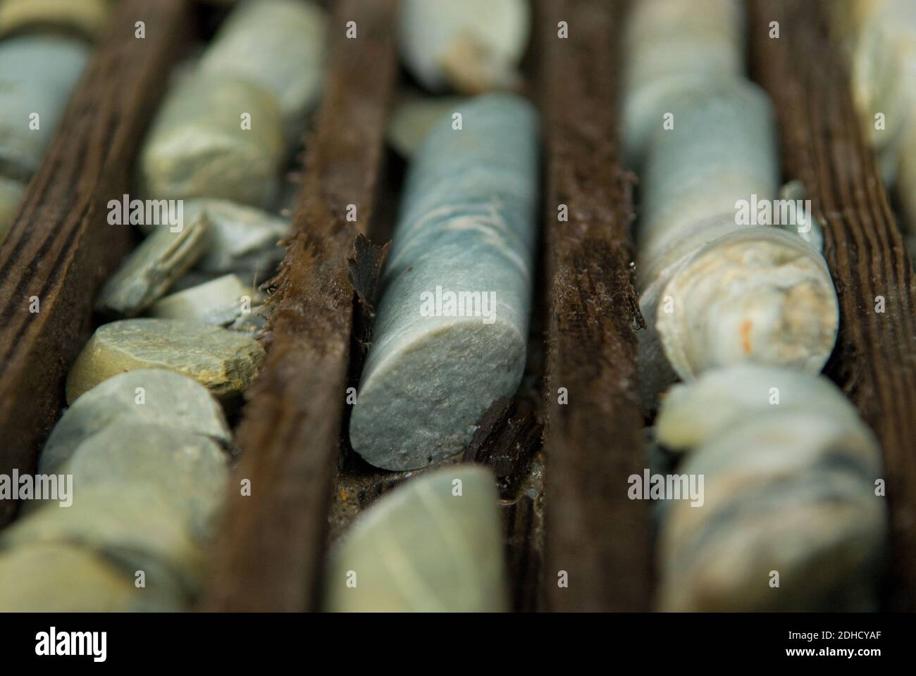 a large library of drilled core samples used by geologists to determine ...