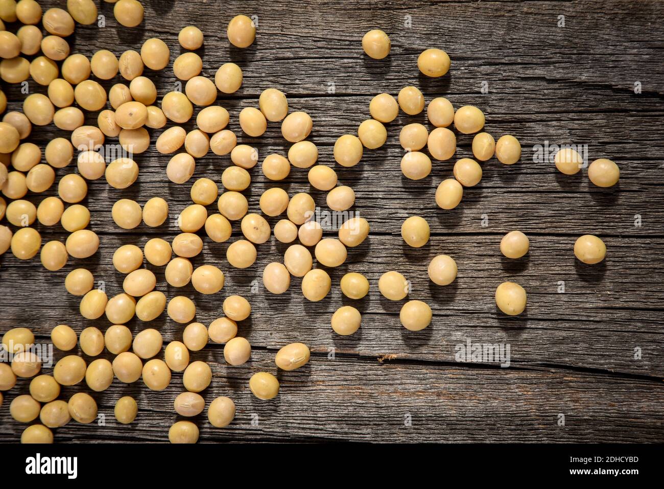 Single Soybean Seed
