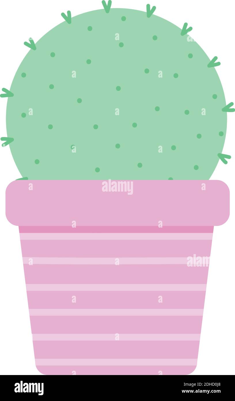 Mexican cactus aloe wild Cut Out Stock Images & Pictures - Alamy