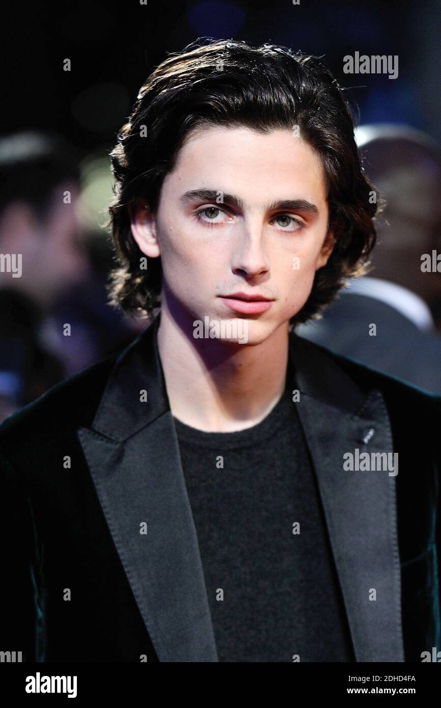 Timothee Chalamet attending the Call Me By Your Name Premiere during ...