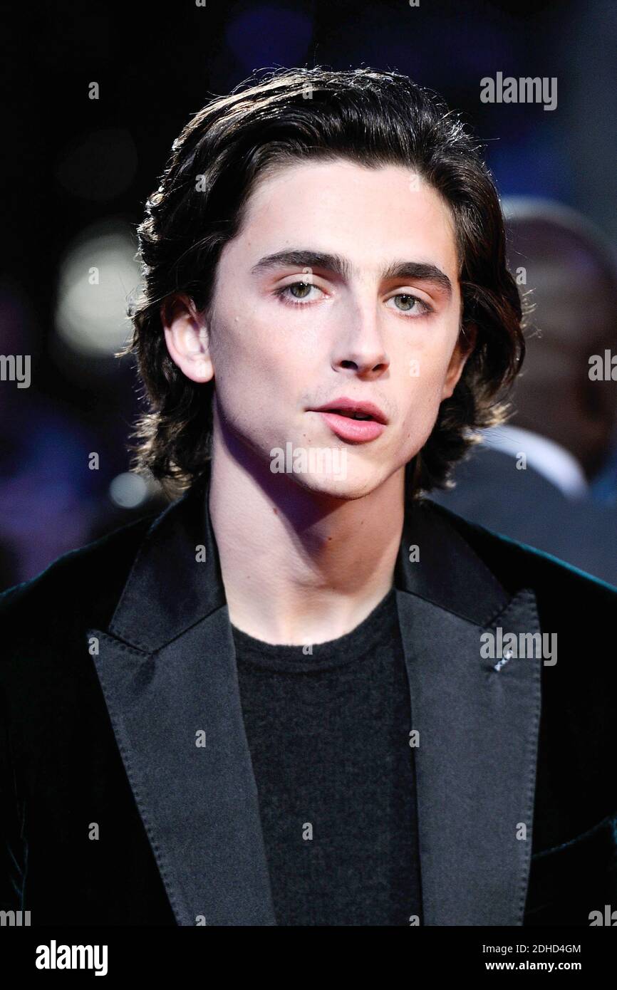 Timothee Chalamet attending the Call Me By Your Name Premiere during ...