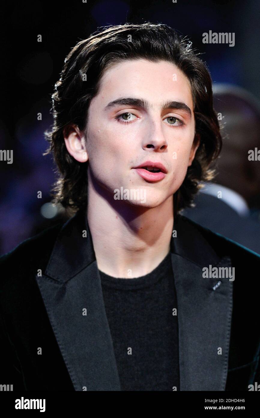 Timothee Chalamet attending the Call Me By Your Name Premiere during ...