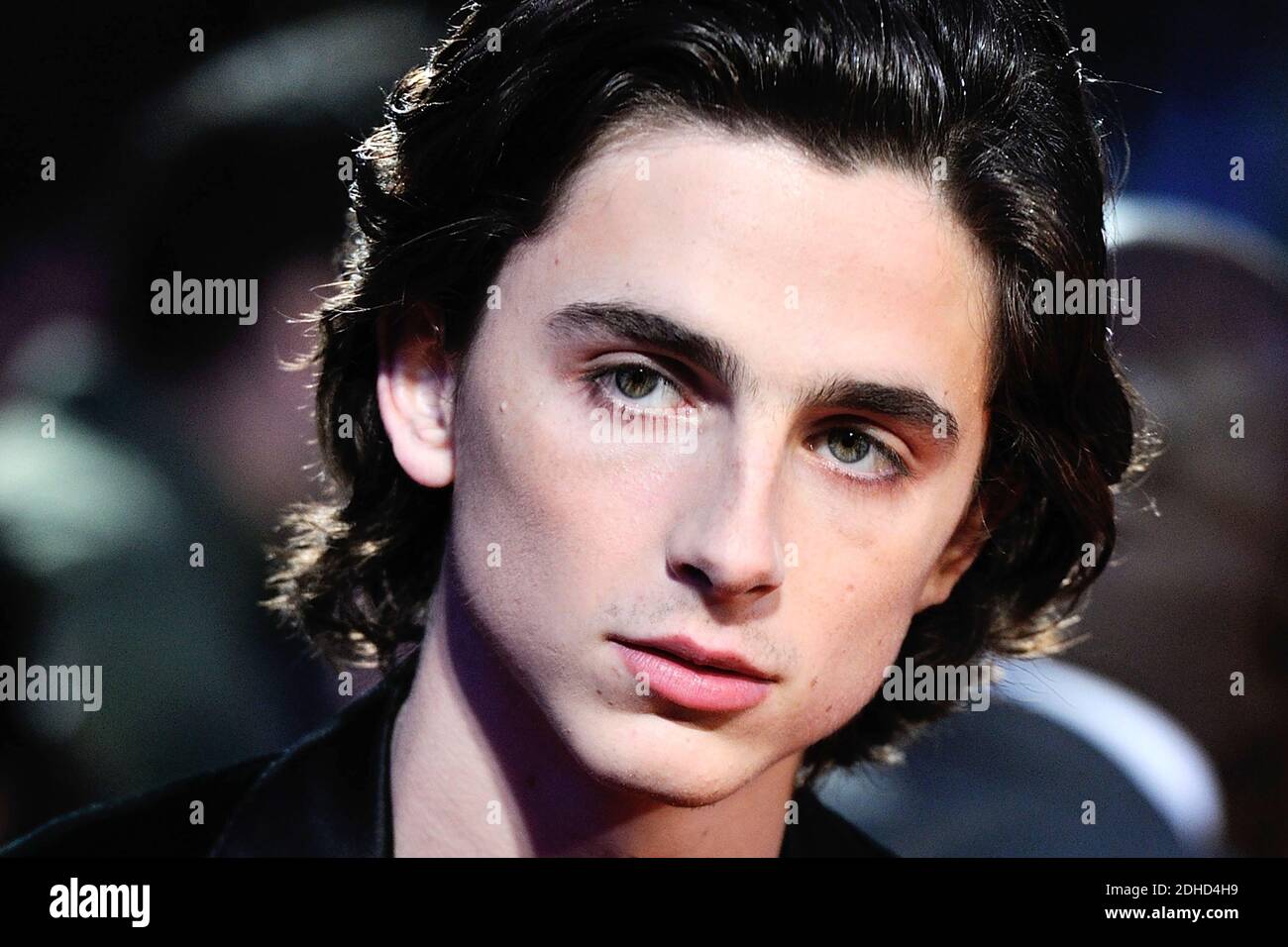 Timothee Chalamet attending the Call Me By Your Name Premiere during ...
