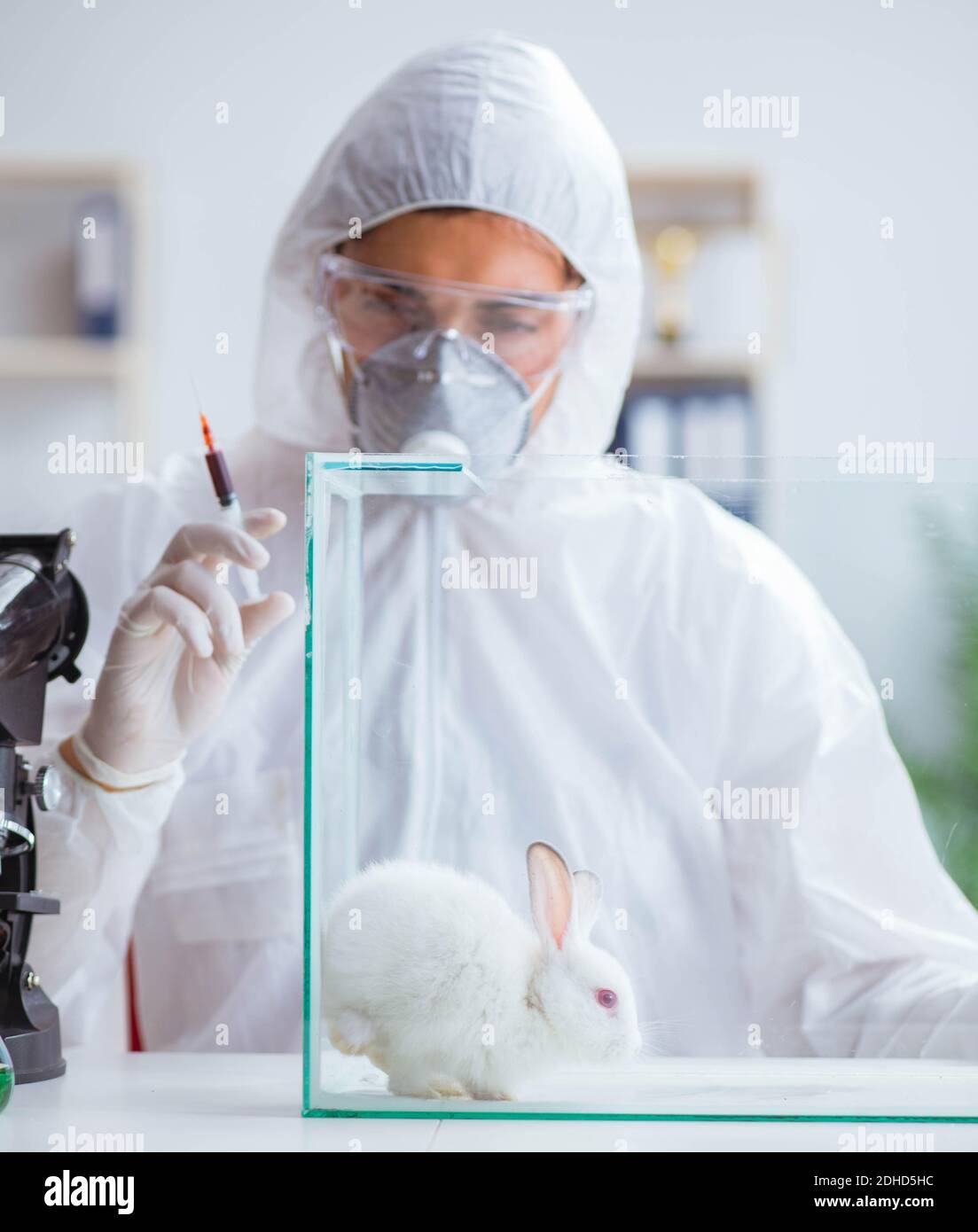 Scientist doing animal experiment in lab with rabbit Stock Photo - Alamy