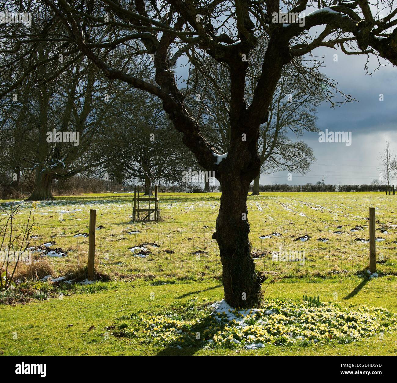 Wintry winter skies hi-res stock photography and images - Alamy