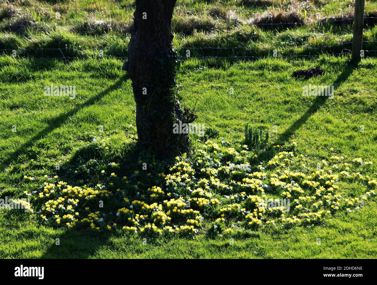 Circle of Life Stock Photo - Alamy