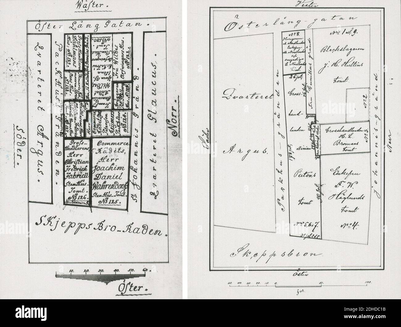 Pheobus hi-res stock photography and images - Alamy