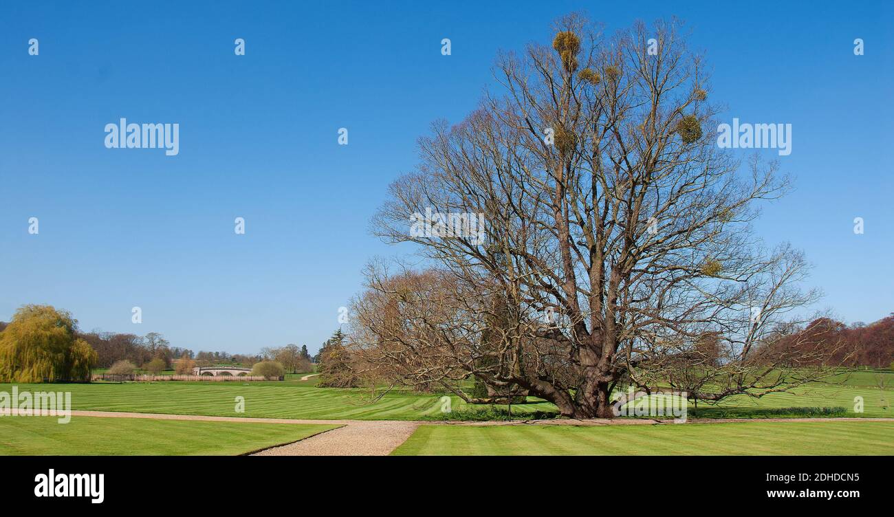 Burghley gardens hi-res stock photography and images - Alamy