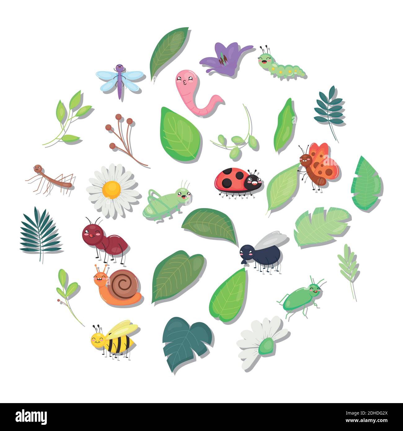 cute insects with flowers and leaves over white background, colorful ...