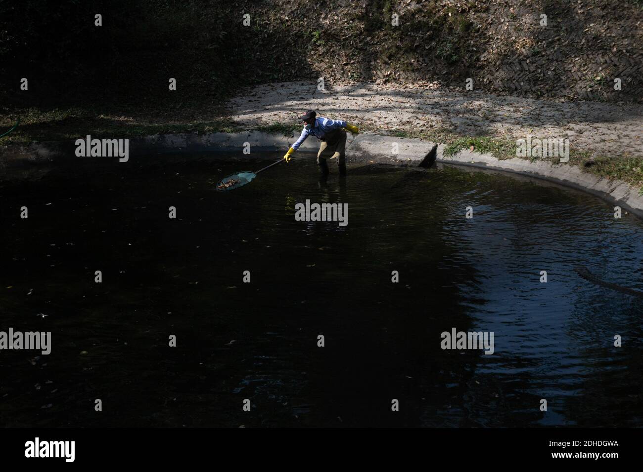 Cleaning zoo enclosure hi-res stock photography and images - Alamy