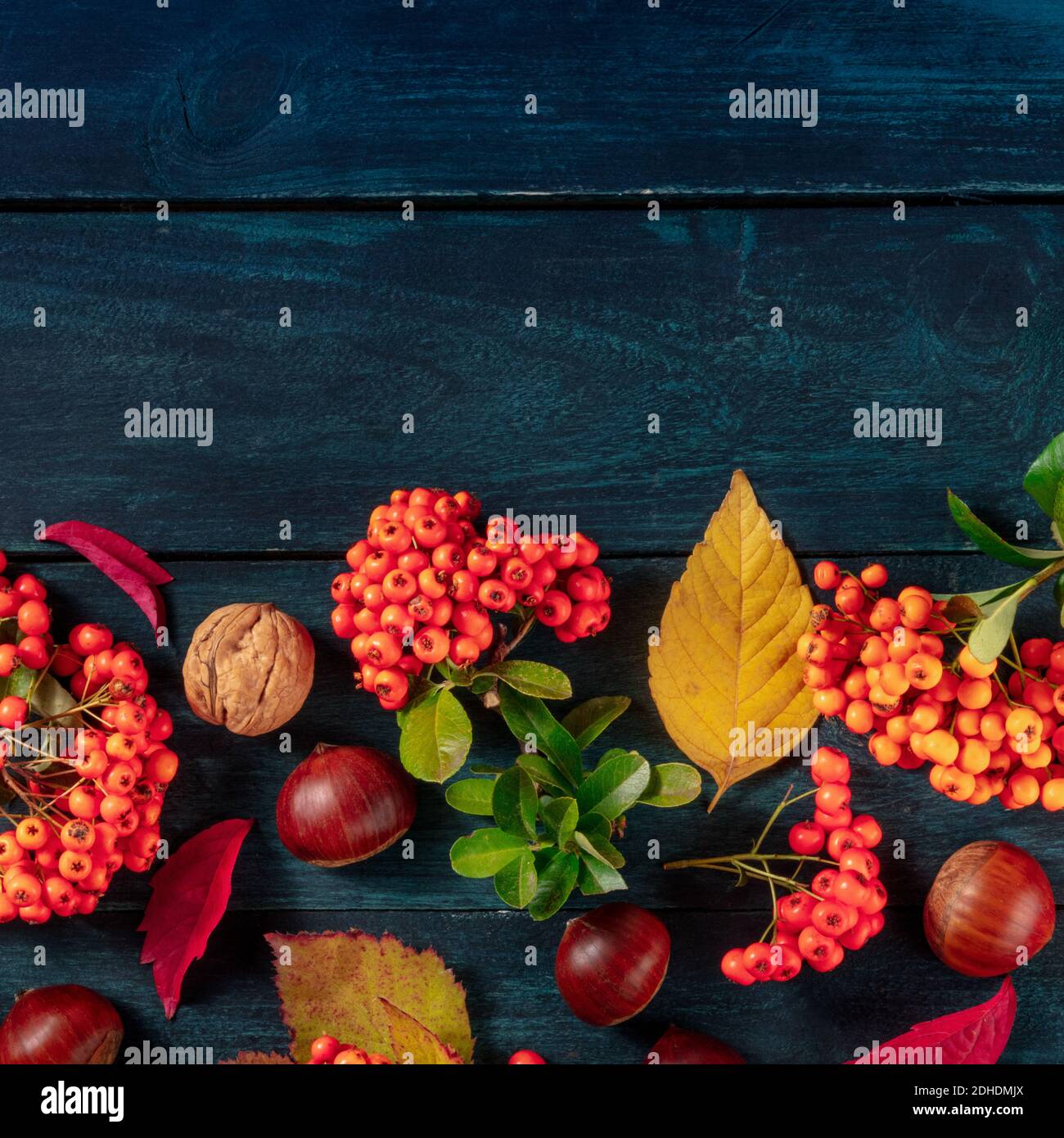 Square autumn design with autumn leaves, chestnuts and a place for text ...