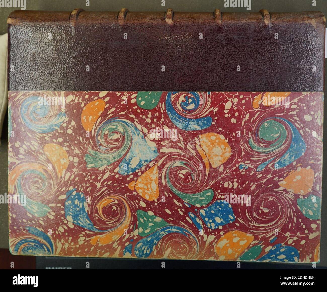 Caranda tree hi-res stock photography and images - Alamy