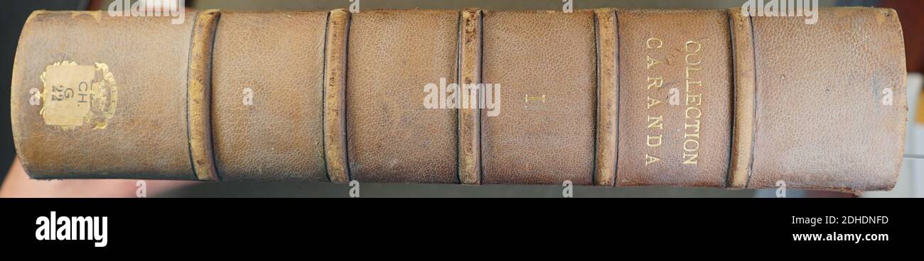 Caranda tree hi-res stock photography and images - Alamy