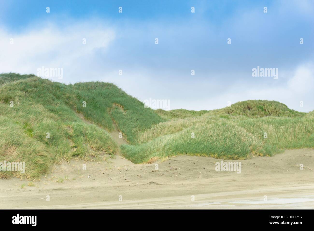 Oreti beach invercargill new zealand hi-res stock photography and ...