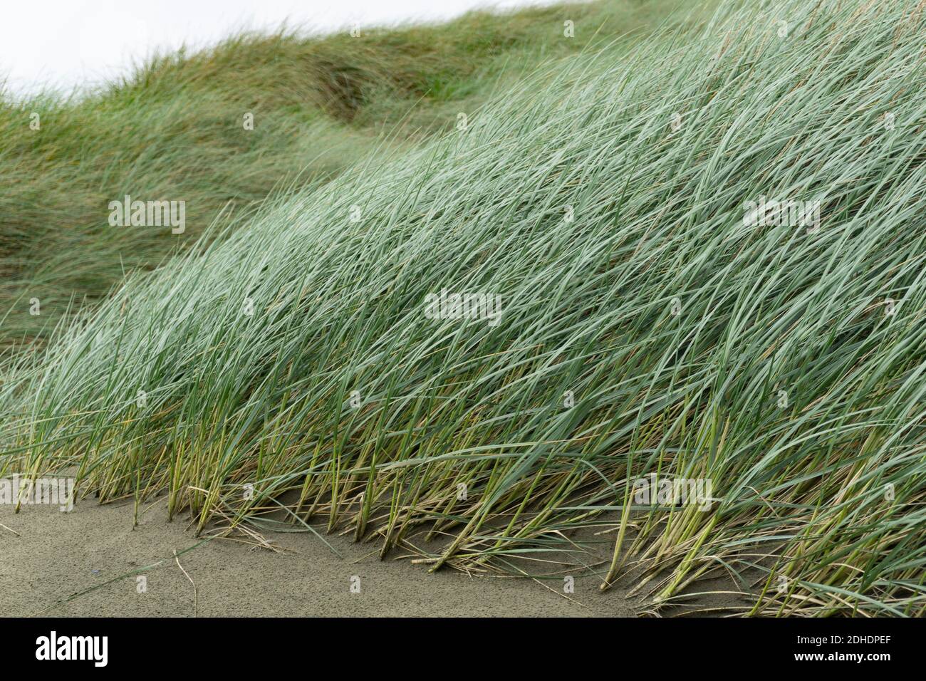 Oreti beach invercargill new zealand hi-res stock photography and ...