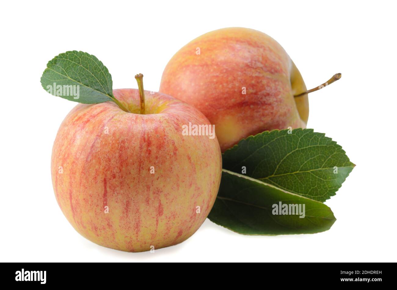Organic apples package hi-res stock photography and images - Alamy