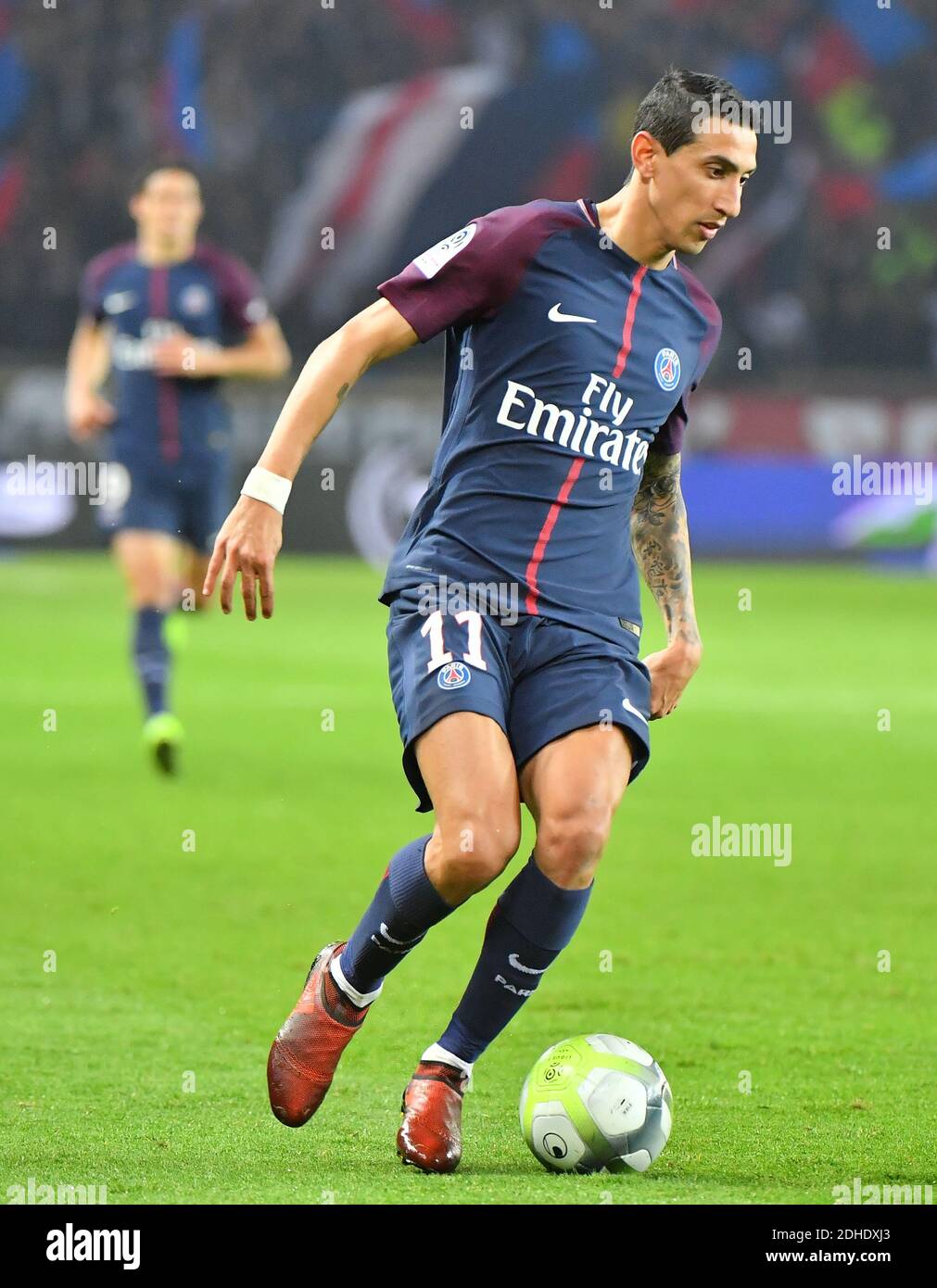 Dimaria hi-res stock photography and images - Alamy