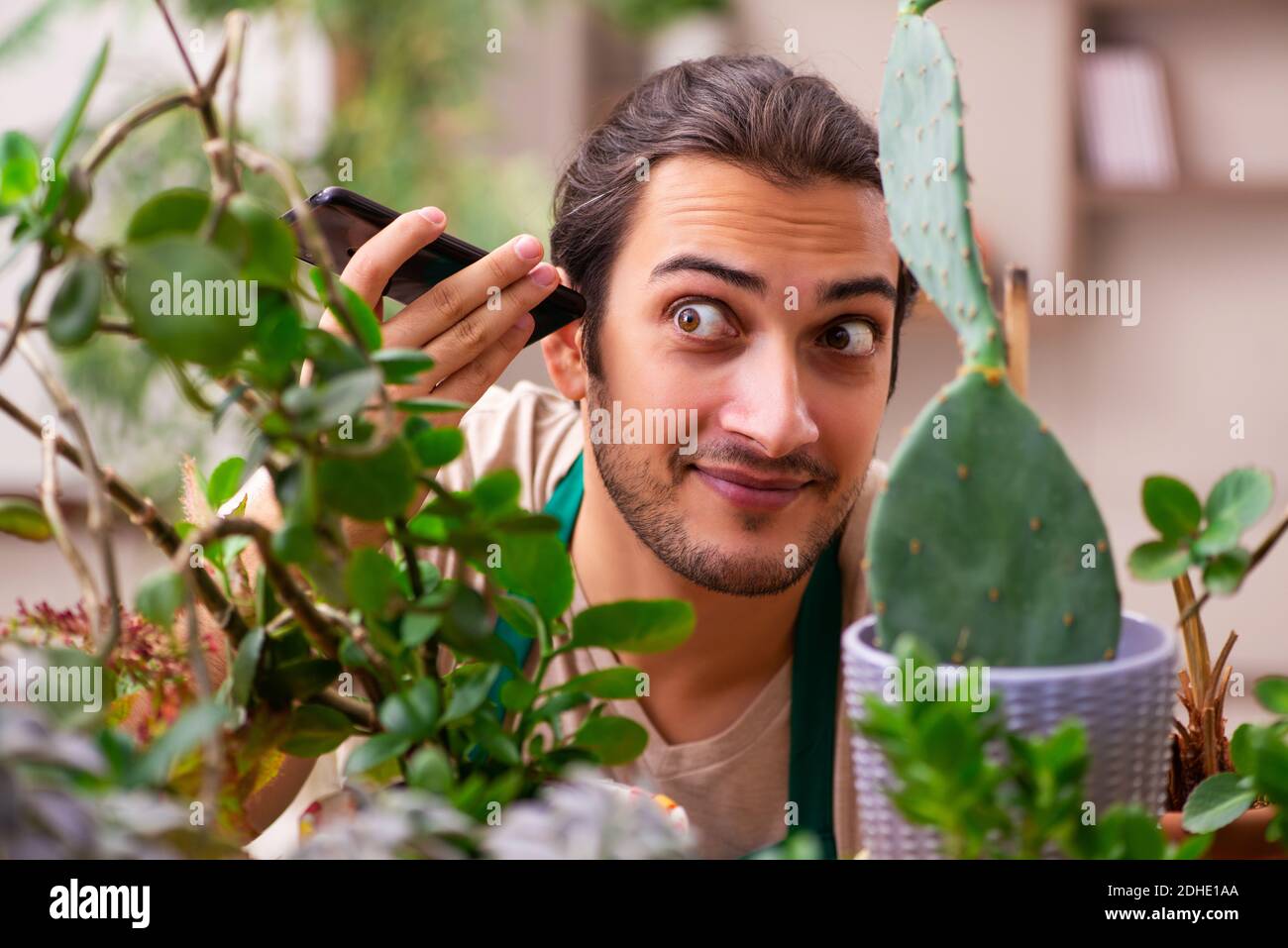 Young man caring plants hi-res stock photography and images - Alamy