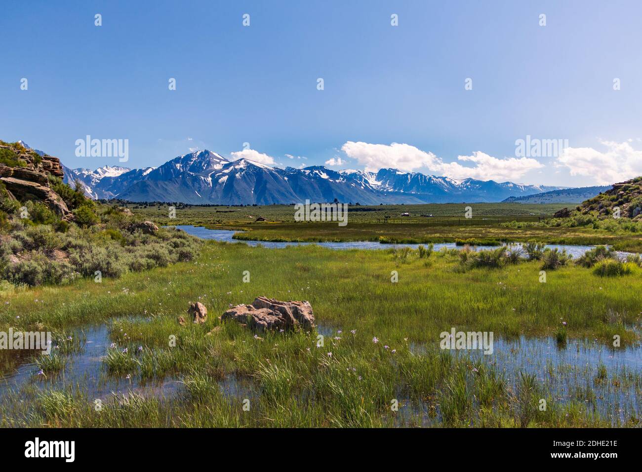 A stream runs through a green grass meadow with snowy mountains Stock ...