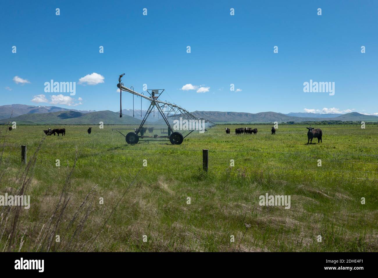 Field feeding system hi-res stock photography and images - Alamy