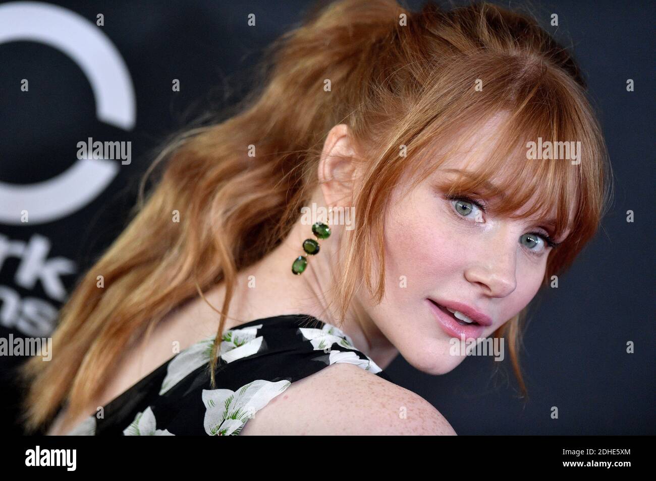 Bryce Dallas Howard attends the 21st Annual Hollywood Film Awards at ...