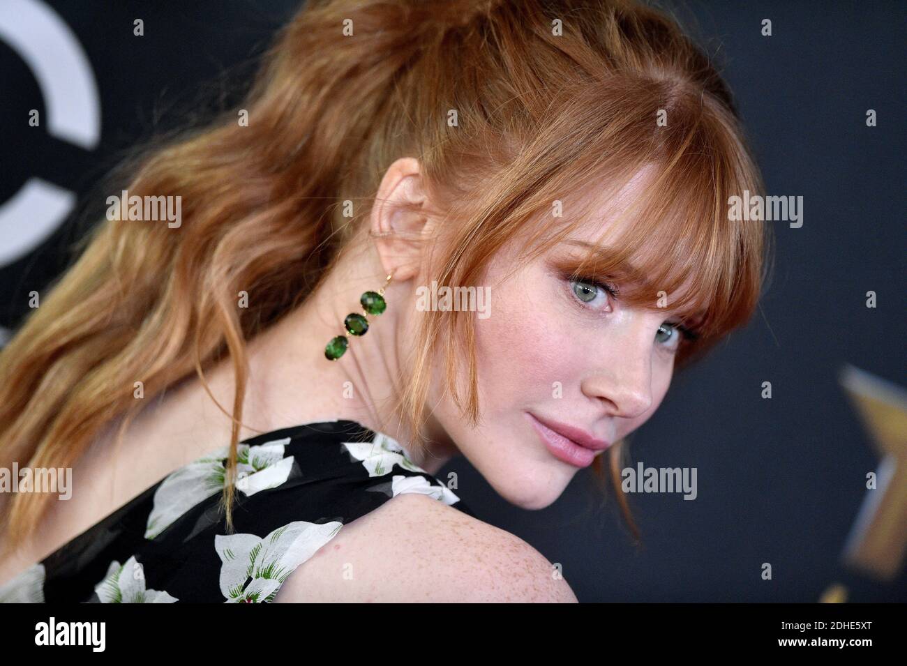 Bryce Dallas Howard attends the 21st Annual Hollywood Film Awards at ...