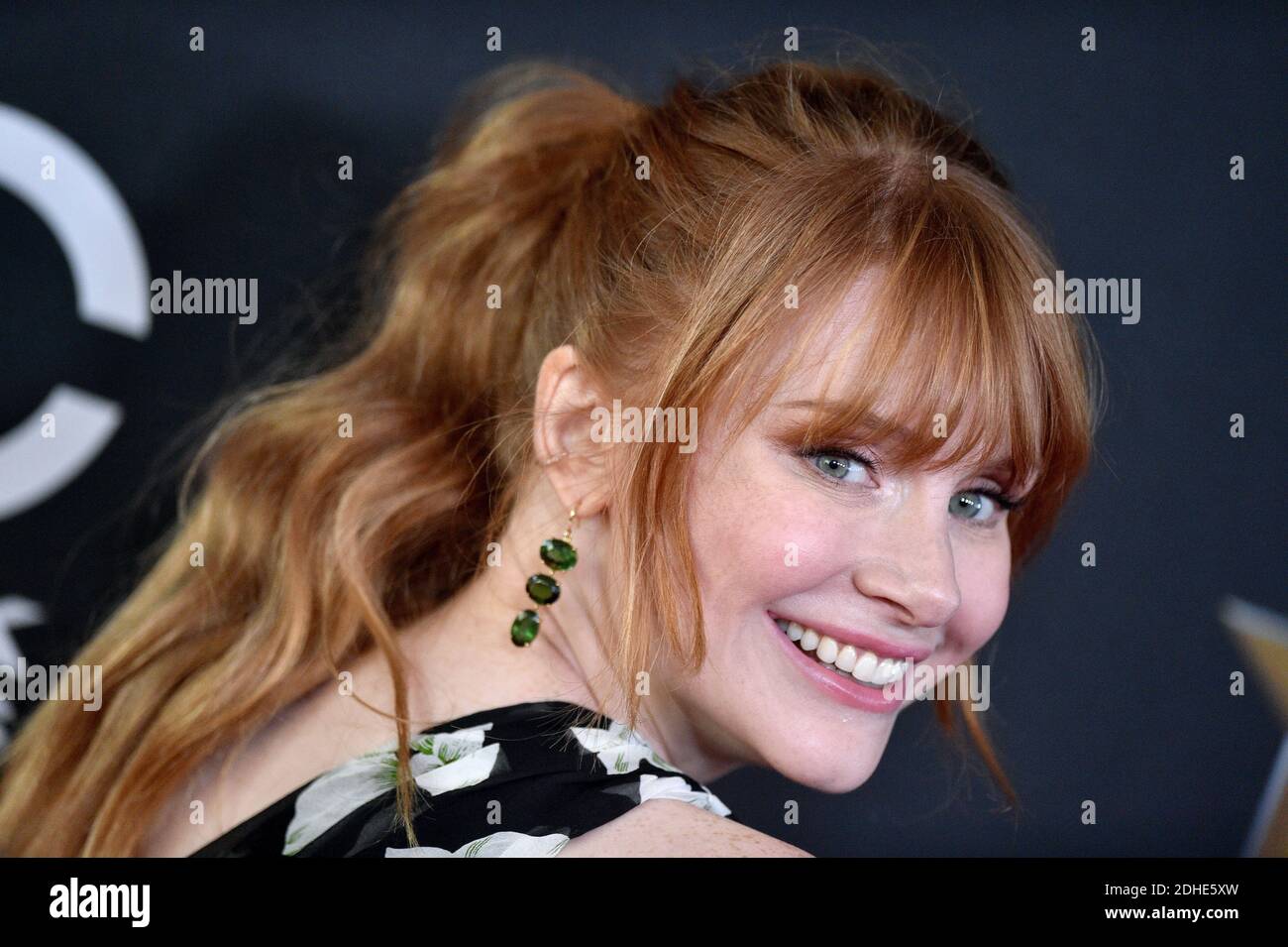 Bryce Dallas Howard attends the 21st Annual Hollywood Film Awards at ...