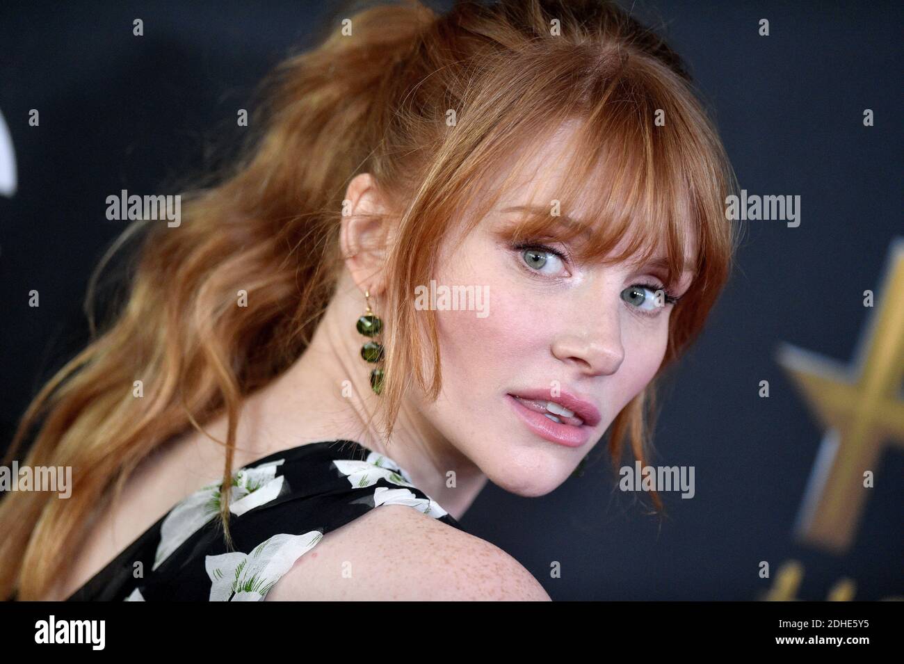 Bryce Dallas Howard attends the 21st Annual Hollywood Film Awards at ...