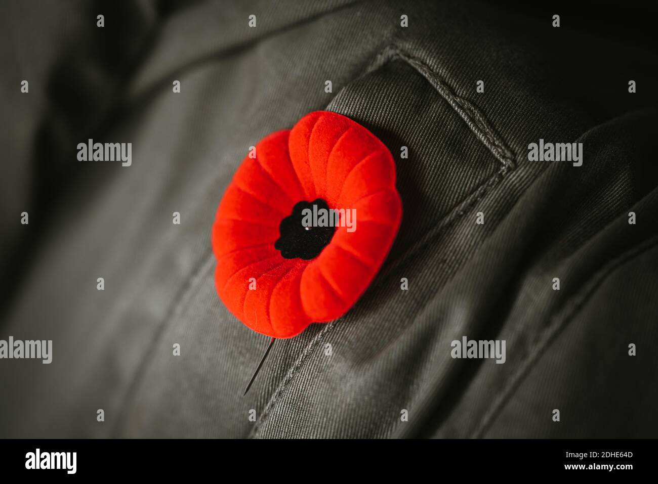 Remembrance poppy lapel hi-res stock photography and images - Alamy