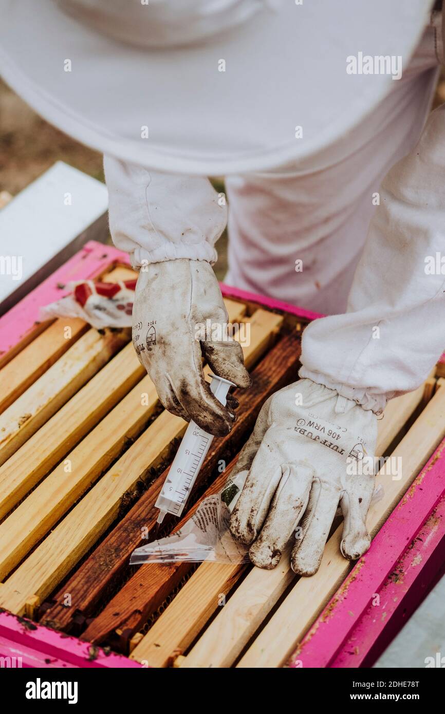 A young woman beekeeper working Stock Photo - Alamy