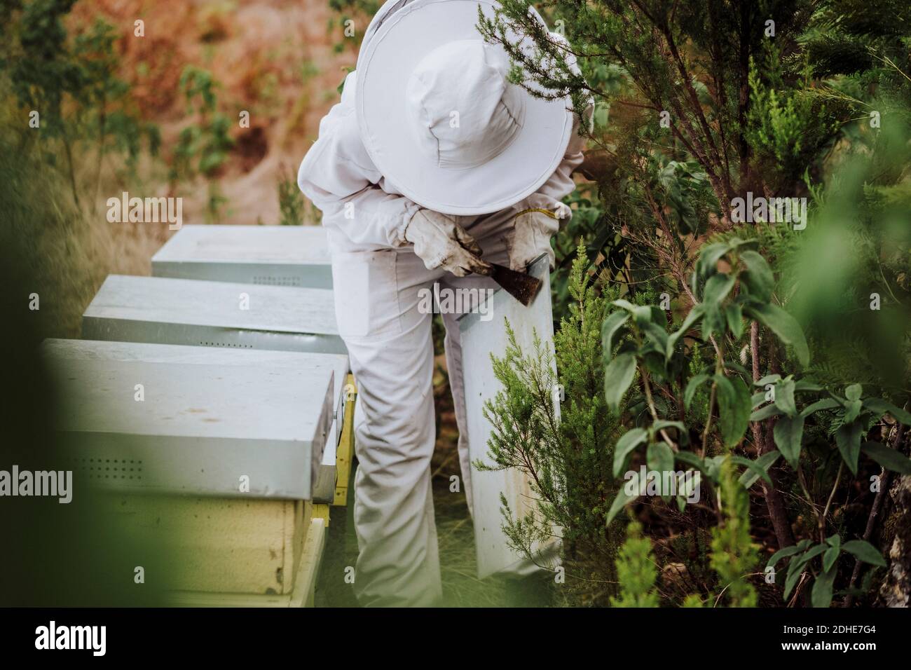 Woman beekeeper hi-res stock photography and images - Alamy