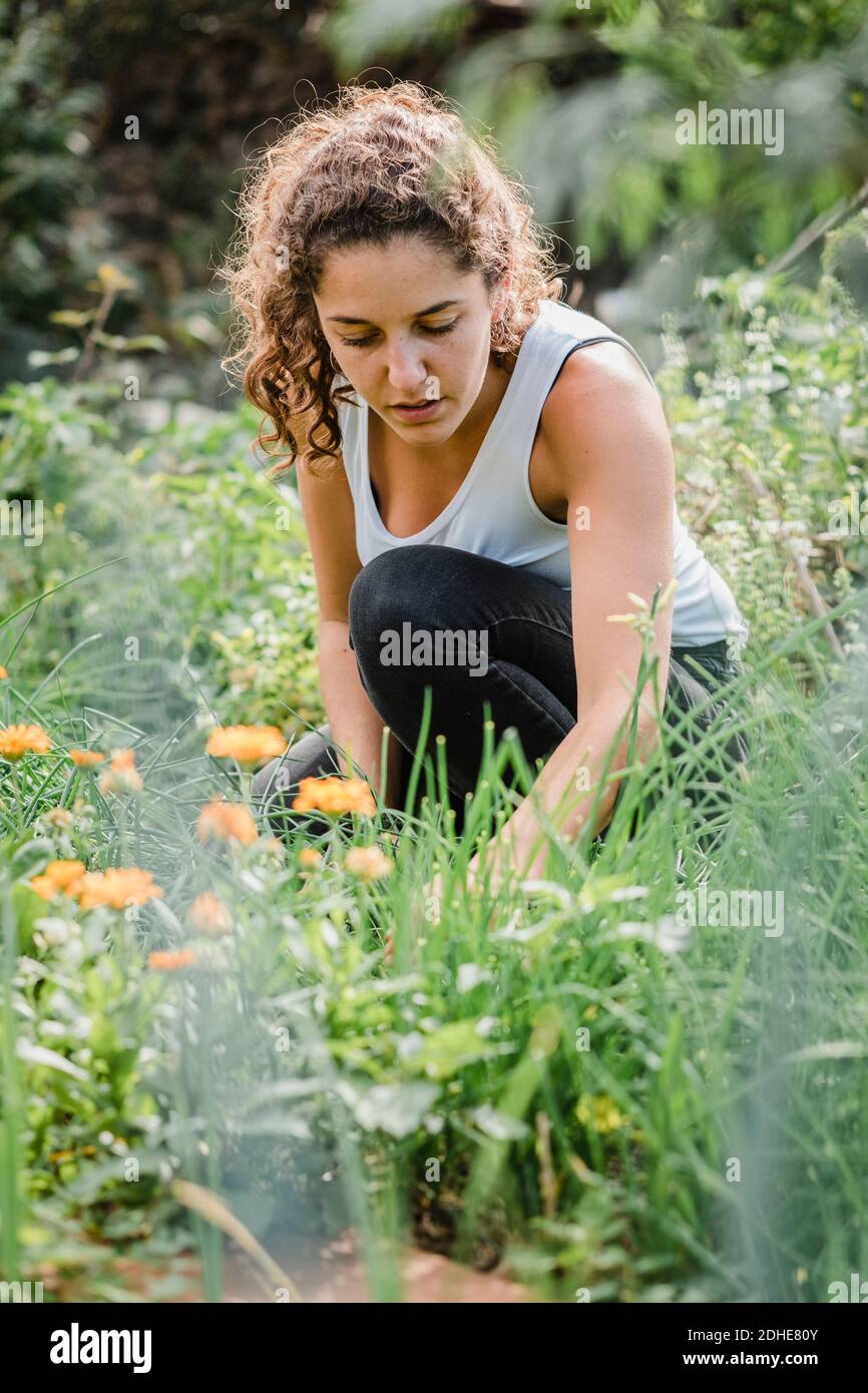 A portrait of a young woman farmer working in the farm Stock Photo - Alamy