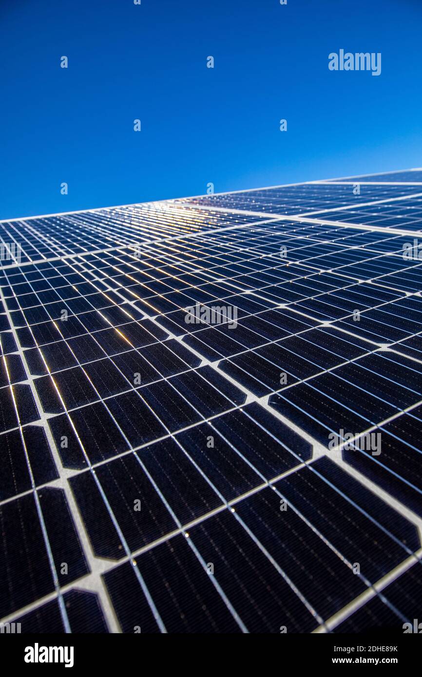 Solar field in Texas Stock Photo - Alamy