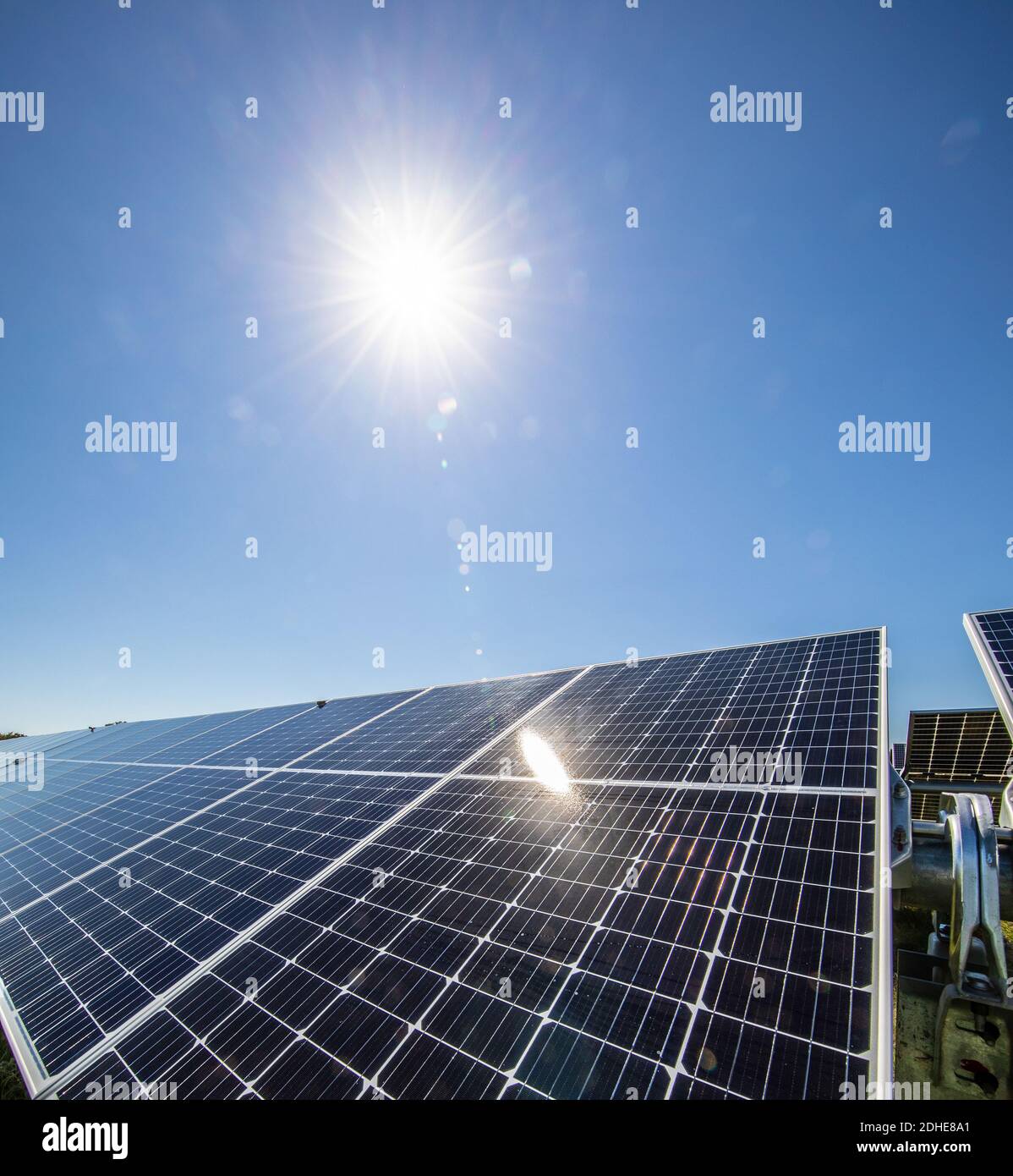Solar field in Texas Stock Photo - Alamy